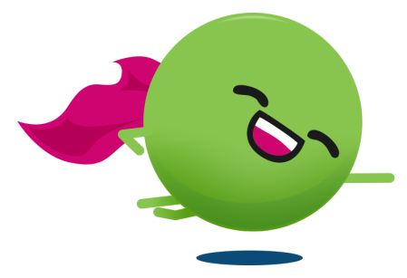 Fibre – Rapid Networks